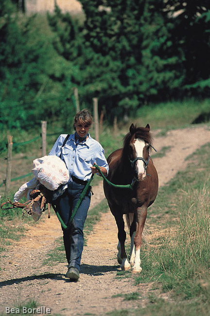 B.E.A Bea Borelle Complete Concept